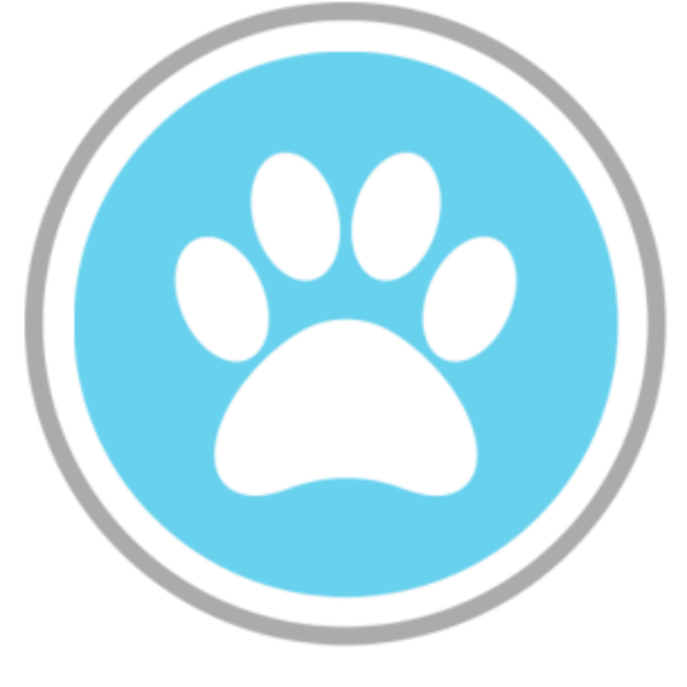 City Paws Pet Club - Dog Daycare, Boarding, Grooming & Training